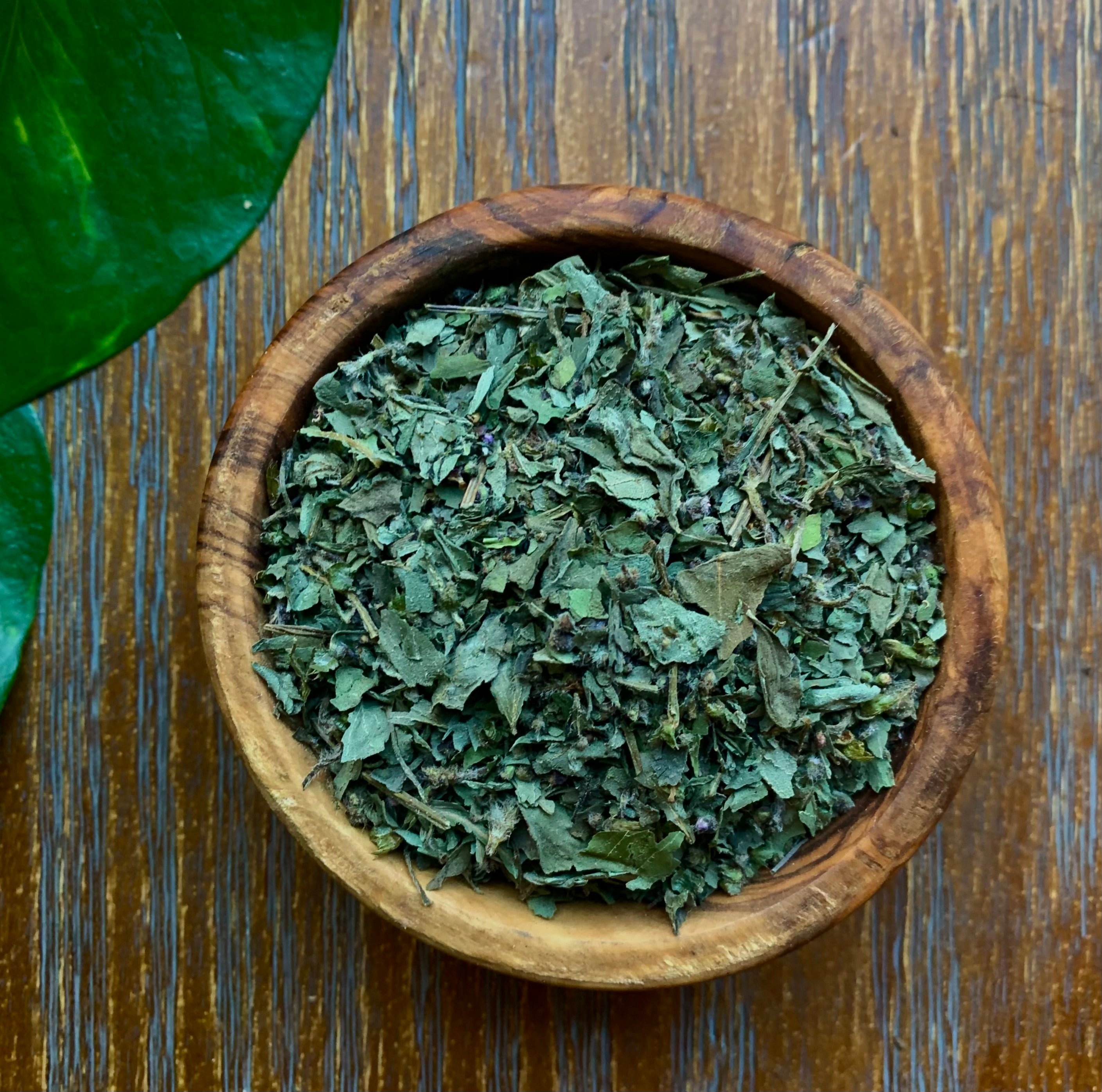 Tulsi Holy Basil | Balanced Root Apothecary
